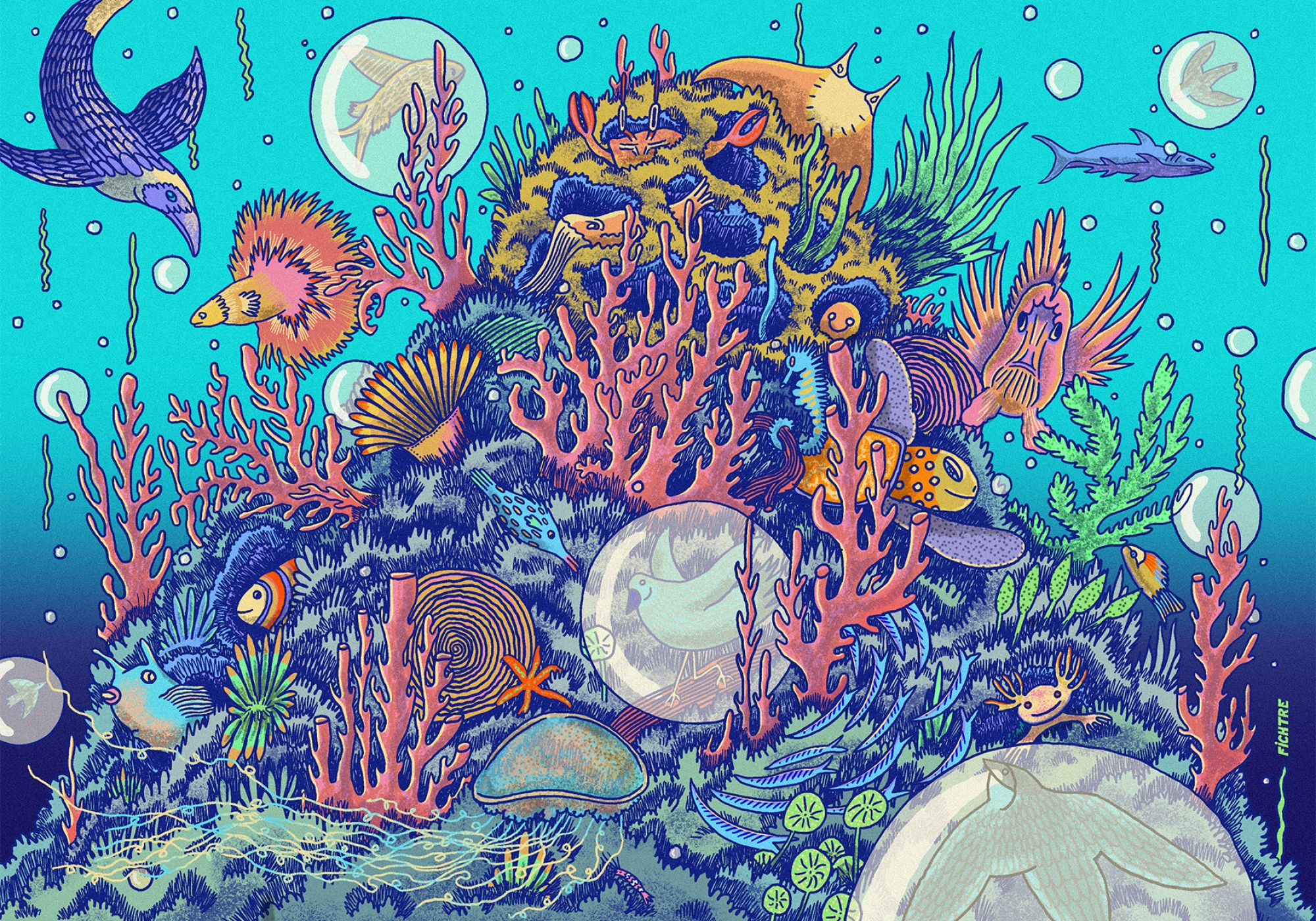 About – CORAL STUDIO